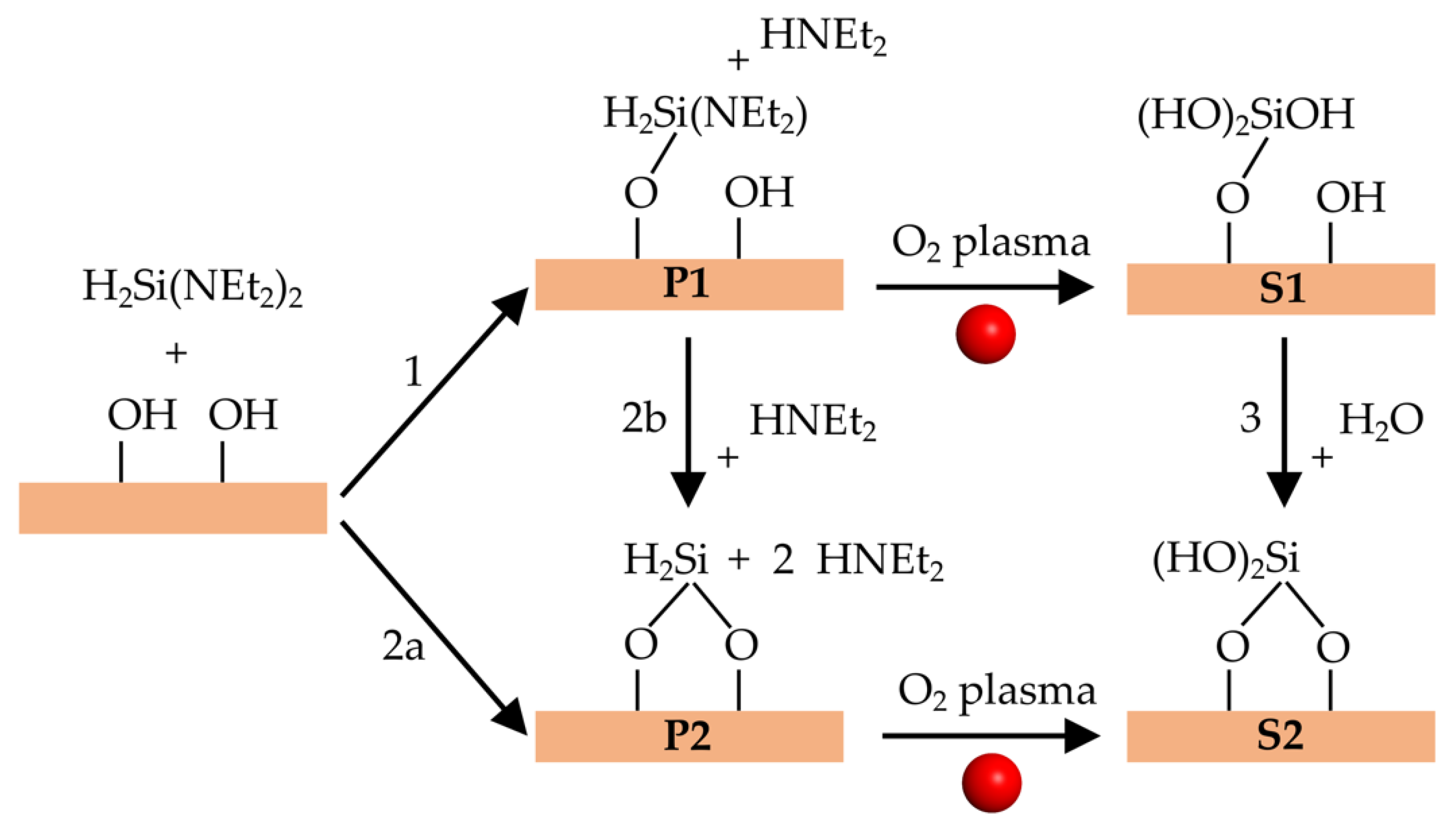 Atomistic Simulations of Plasma-Enhanced Atomic Layer Deposition