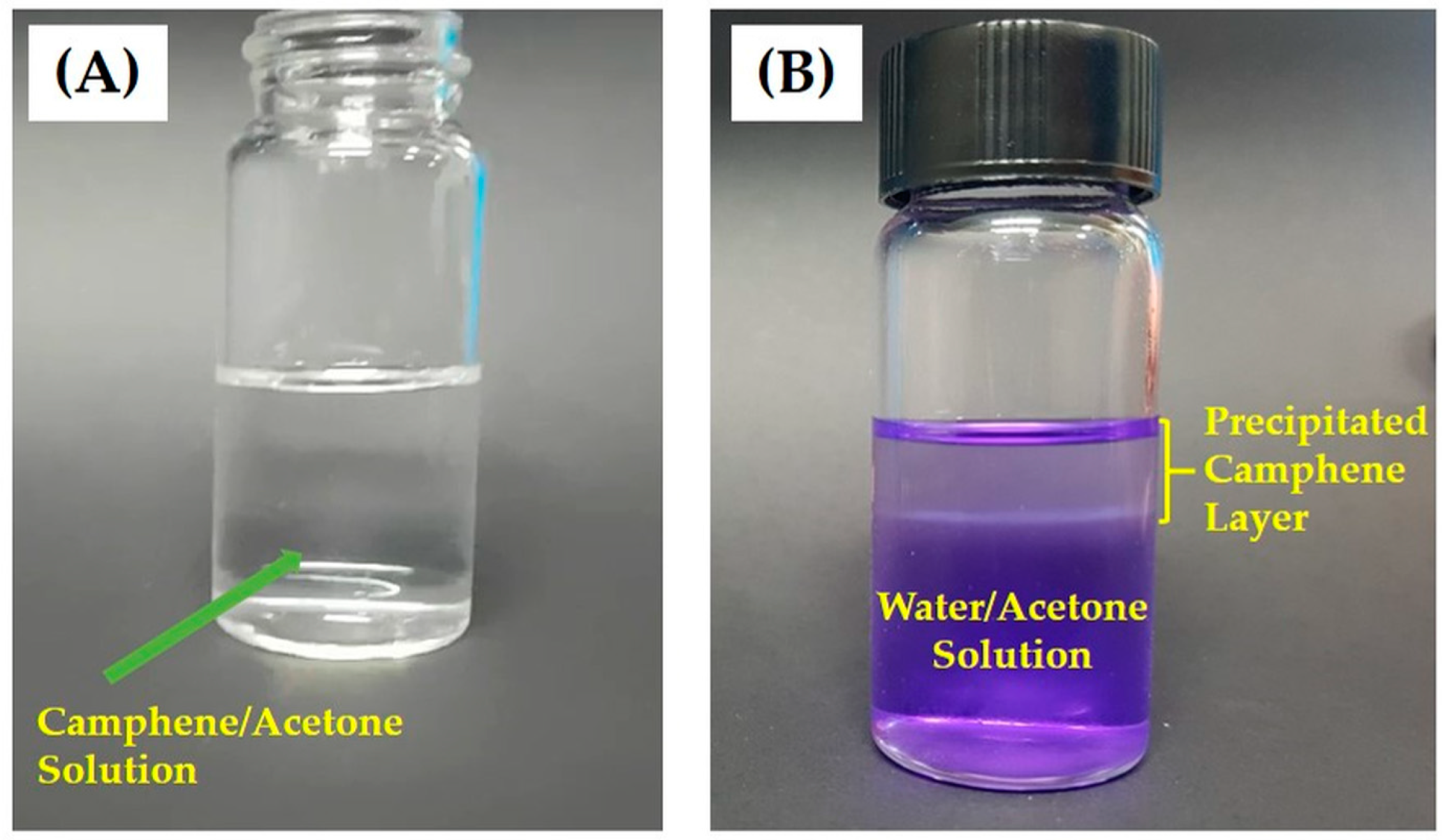 3D Plotting using Camphene as Pore-regulating Agent to Produce ...