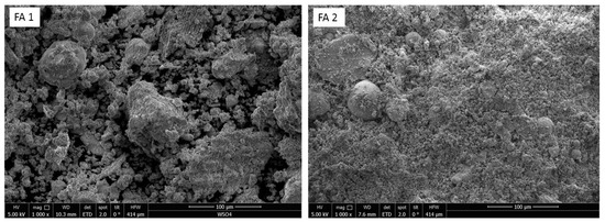 Comparison of the Characteristics of Fly Ash Generated from Bio and ...