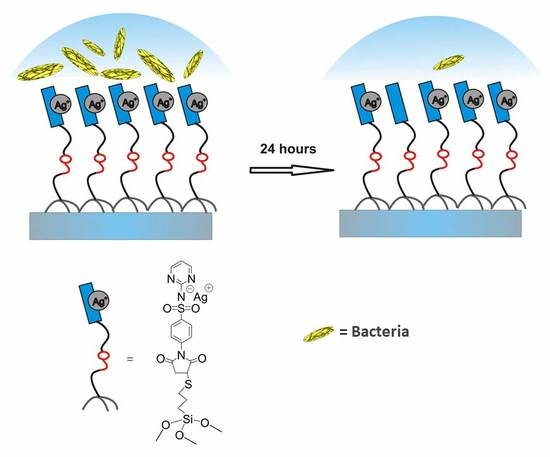Materials | Special Issue : Anti-Infective Materials