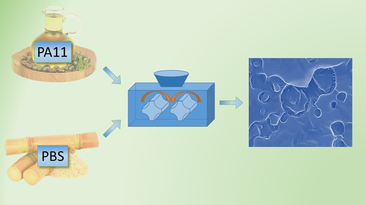 Materials | Free Full-Text | Polyamide 11/Poly(butylene succinate) Bio ...