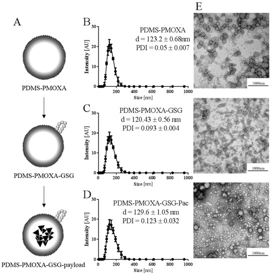 PDMS-PMOXA-Nanoparticles Featuring a Cathepsin B-Triggered Release ...