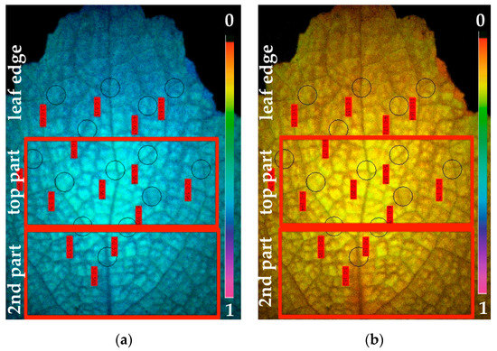 Materials | Special Issue : The Role of Metal Ions in Biology ...