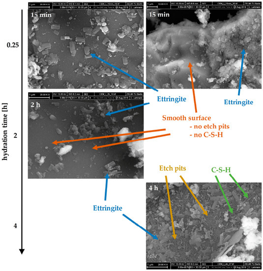 Relating Ettringite Formation and Rheological Changes during the ...