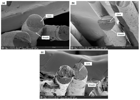 Novel Bicomponent Functional Fibers with Sheath/Core Configuration ...
