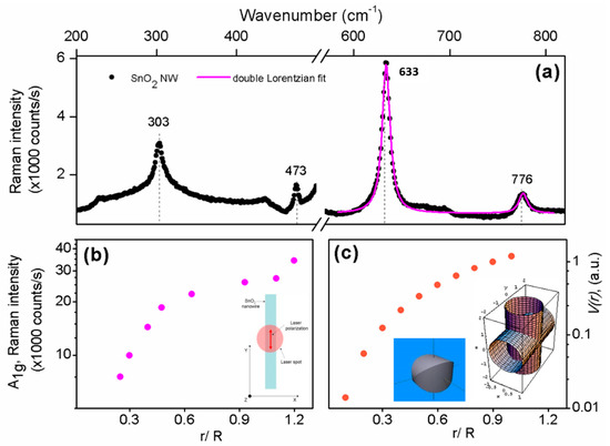 3D Multi-Branched SnO2 Semiconductor Nanostructures as Optical Waveguides