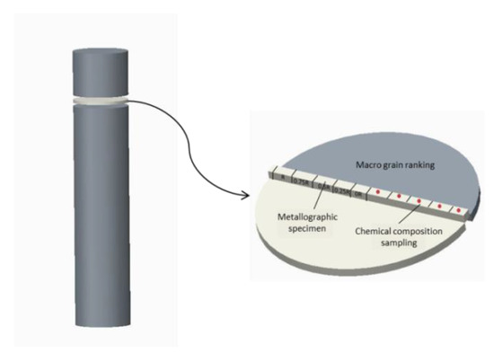 Effects of Ultrasonic Introduced by L-Shaped Ceramic Sonotrodes on ...