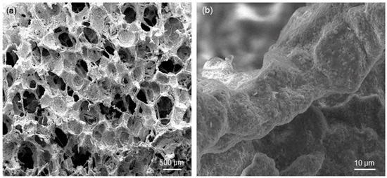 Elastic Mechanical Properties of 45S5-Based Bioactive Glass–Ceramic Scaffolds