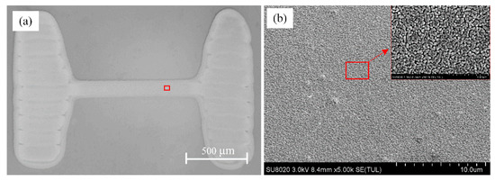 Current-Induced Changes of Surface Morphology in Printed Ag Thin Wires