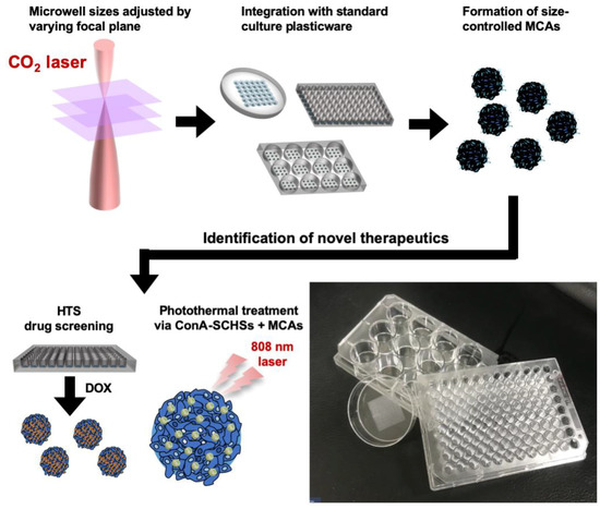 Simple In-House Fabrication of Microwells for Generating Uniform ...