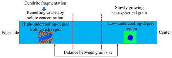 Effect of Temperature Gradient on the Grain Size Homogeneity of SEED ...