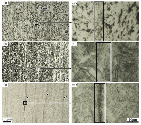 Microstructure Evolution of the Semi-Macro Segregation Induced Banded ...
