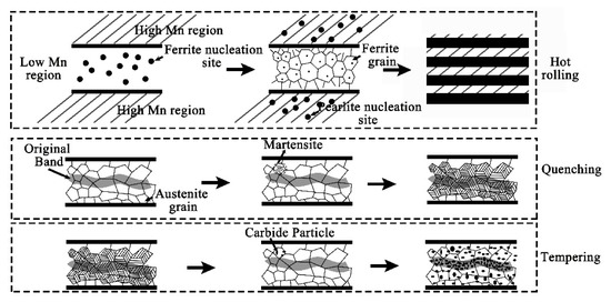 Microstructure Evolution of the Semi-Macro Segregation Induced Banded ...