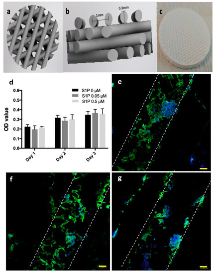 3D Printing of Bioceramics for Bone Tissue Engineering
