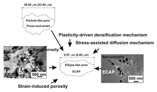 Different Formation Routes of Pore Structure in Aluminum Powder ...