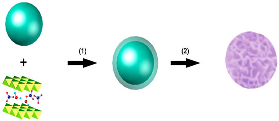 A Facile Synthesis of Core-Shell SiO2@Cu-LBMS Nano-Microspheres for ...