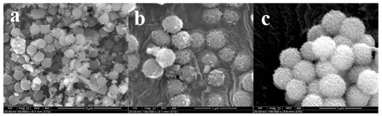A Facile Synthesis of Core-Shell SiO2@Cu-LBMS Nano-Microspheres for Drug Sustained Release Systems