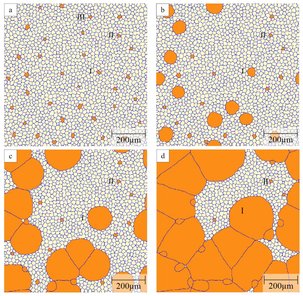 Phase Field Modelling of Abnormal Grain Growth
