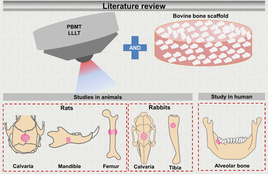 Materials | Free Full-Text | Photobiomodulation Therapy (PBMT) Applied ...