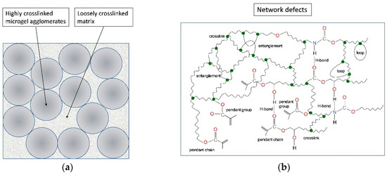 A Guide through the Dental Dimethacrylate Polymer Network Structural ...