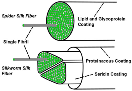 Chemical Synthesis of Silk-Mimetic Polymers