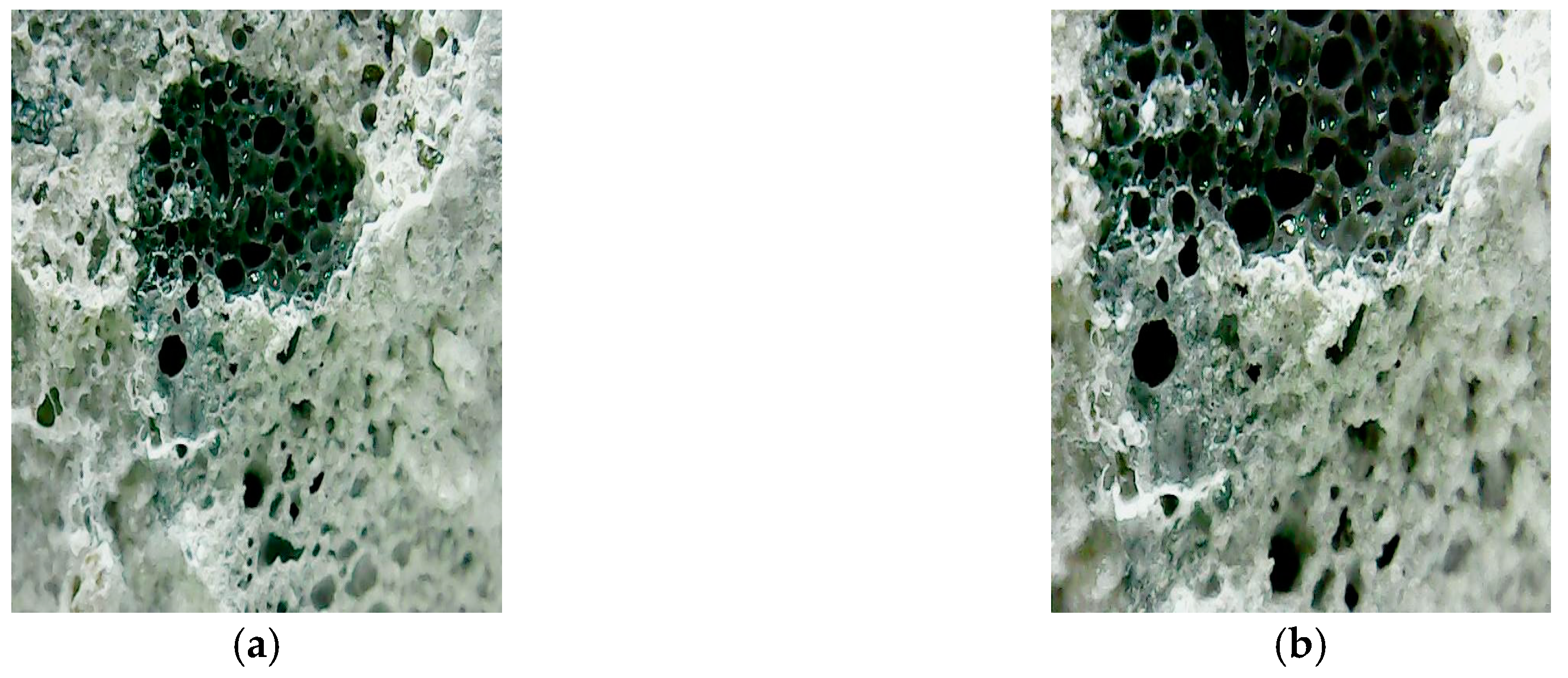 Self-Healing Concrete by Biological Substrate