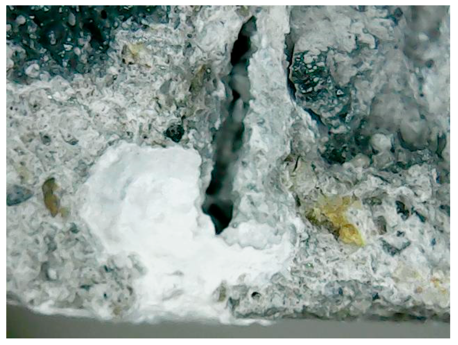 Self-Healing Concrete by Biological Substrate