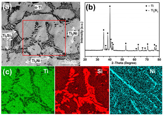 Ni/Si-Codoped TiO2 Nanostructure Photoanode for Enhanced ...