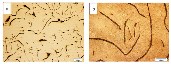 Wear Induced Failure of Automotive Disc Brakes—A Case Study