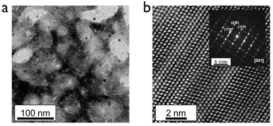 In-depth Investigation of Hg2Br2 Crystal Growth and Evolution