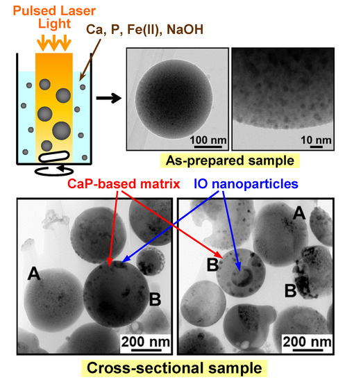 Materials | Free Full-Text | Structural Analysis of Calcium Phosphate-Based Submicrospheres with ...