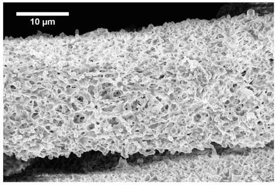 Materials | Special Issue : Biocompatible and Biodegradable 3D Scaffolds