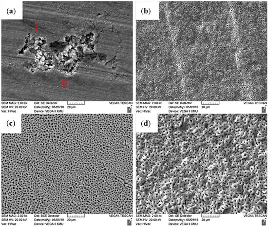 Preparation and Corrosion Behavior in Marine Environment of MAO ...