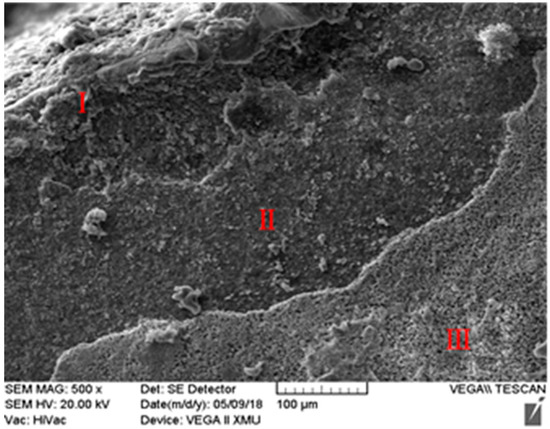 Preparation and Corrosion Behavior in Marine Environment of MAO ...