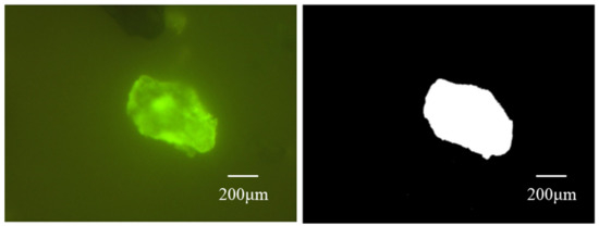 Study on the Effect of Microwave Processing on Asphalt-Rubber