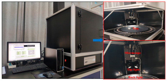 Investigation on Comparison of Morphological Characteristics of Various ...