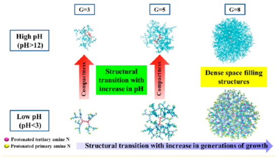 Dendrimers: Amazing Platforms for Bioactive Molecule Delivery Systems