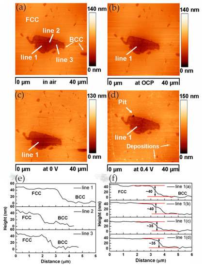 Application of Electrochemical Atomic Force Microscopy (EC-AFM) in the ...