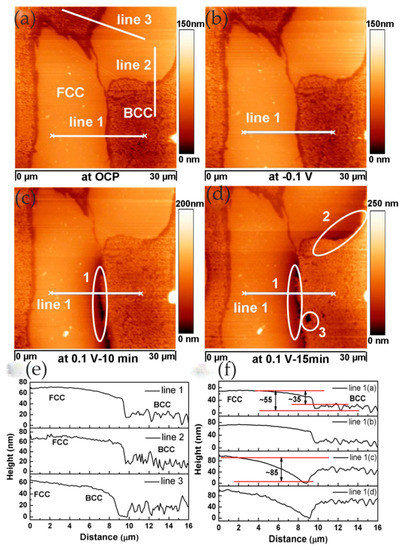 Application of Electrochemical Atomic Force Microscopy (EC-AFM) in the ...