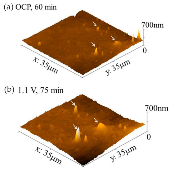 Application of Electrochemical Atomic Force Microscopy (EC-AFM) in the ...