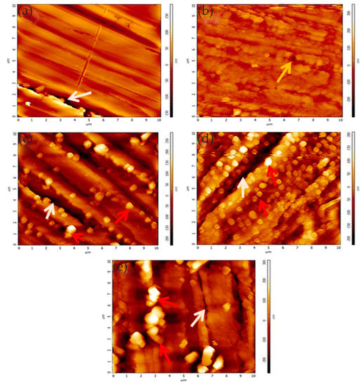 Application of Electrochemical Atomic Force Microscopy (EC-AFM) in the ...