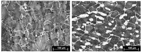 Structure of Fe-Mn-Al-C Steels after Gleeble Simulations and Hot-Rolling