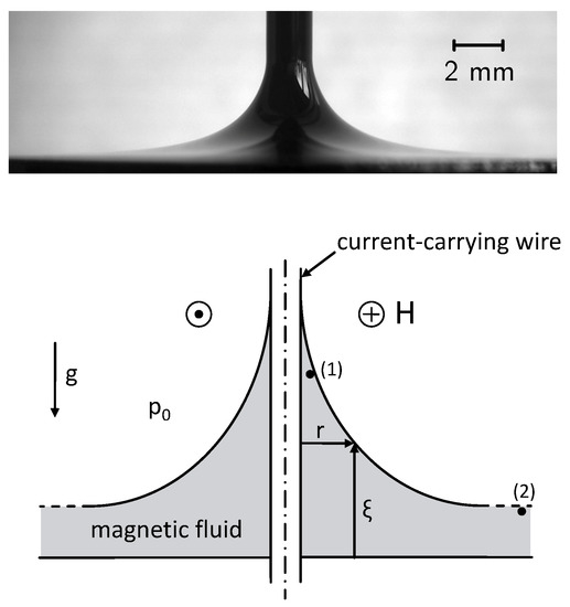 Meniscus of a Magnetic Fluid in the Field of a Current-Carrying Wire ...