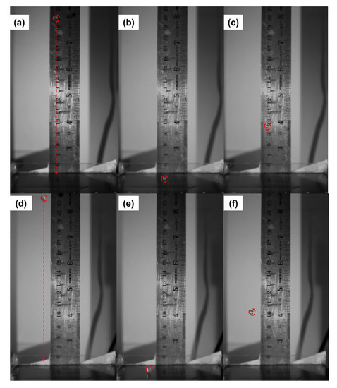 Effect of Grain Size and Surface Roughness on the Normal Coefficient of Restitution of Single Grains