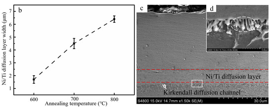 Tribological Properties of Ni/Cu/Ni Coating on the Ti-6Al-4V Alloy after Annealing at Various ...
