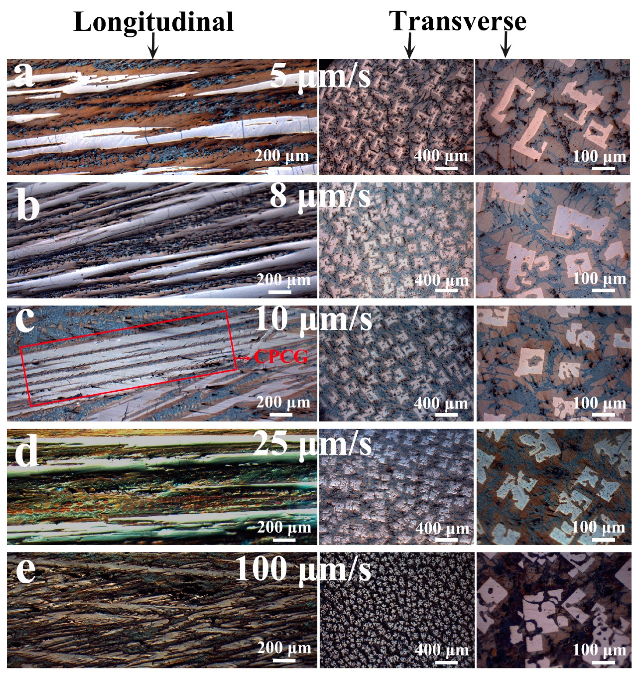 Investigation of Microstructure Evolution and Phase Selection of ...