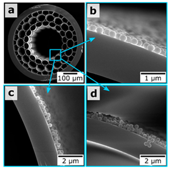 Functionalized Microstructured Optical Fibers: Materials, Methods ...