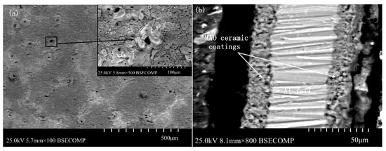 Microstructure and Wear Properties of Micro Arc Oxidation Ceramic Coatings