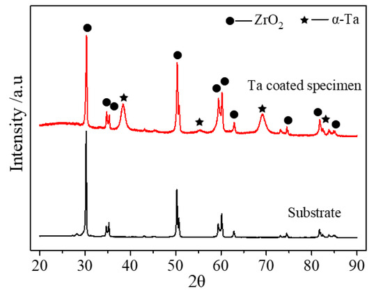 Preparation, Microstructure, Mechanical Properties and Biocompatibility ...