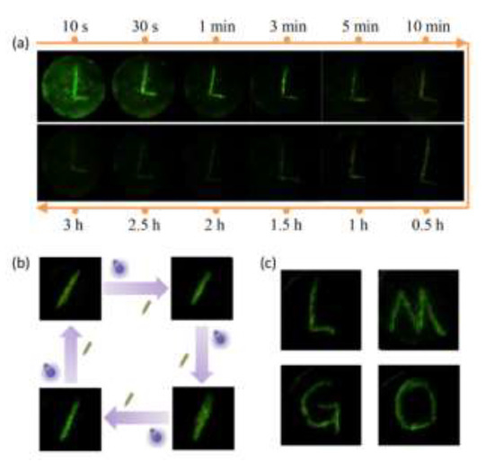 Short-Term Non-Decaying Mechanoluminescence in Li2MgGeO4:Mn2+